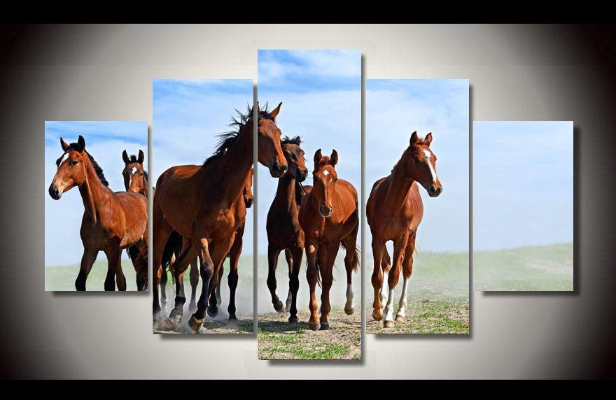 Free Range – Cool Tees & Things